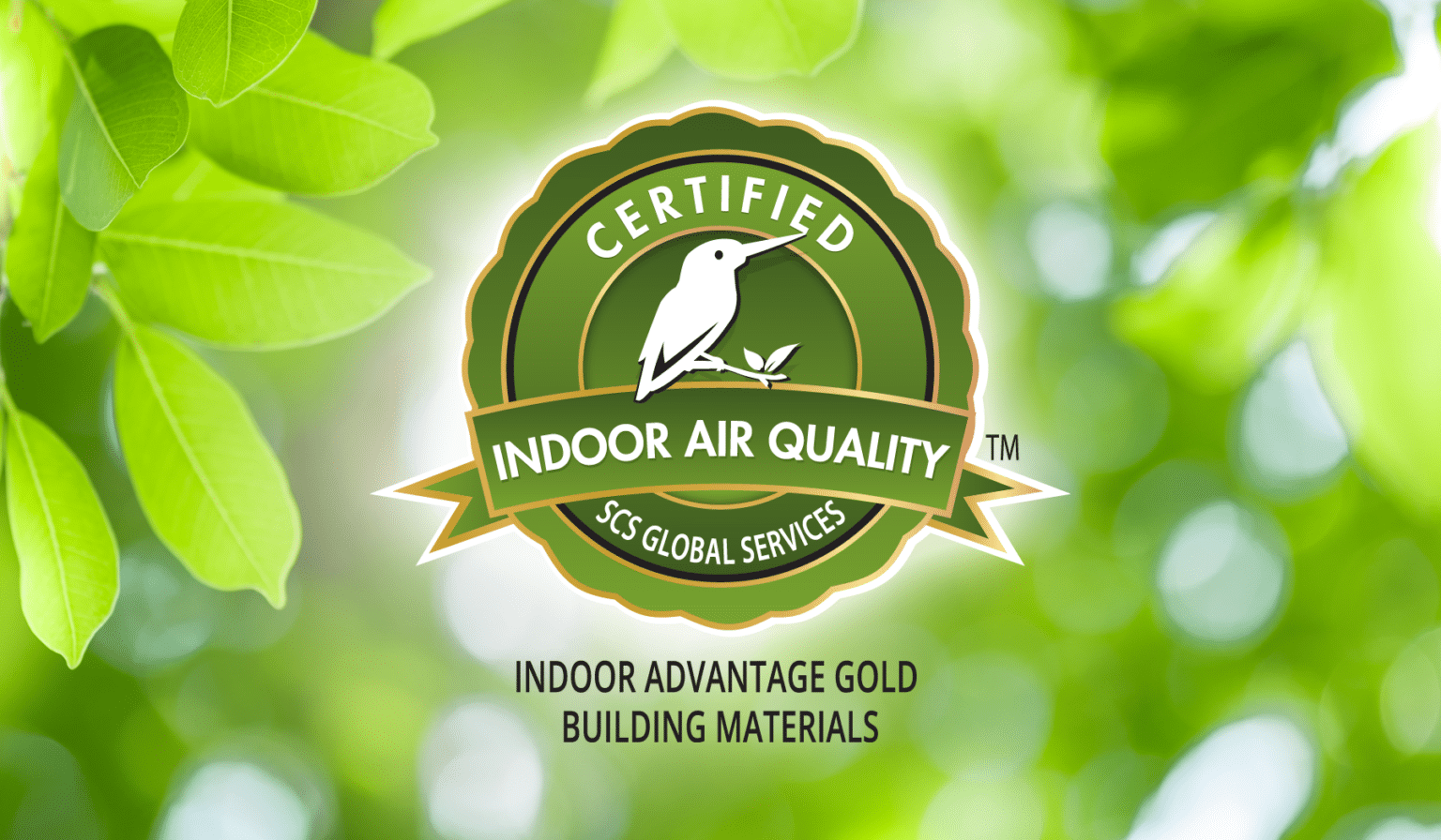 Indoor Advantage Gold – Worth Its Weight? - Len-Tex Wallcoverings